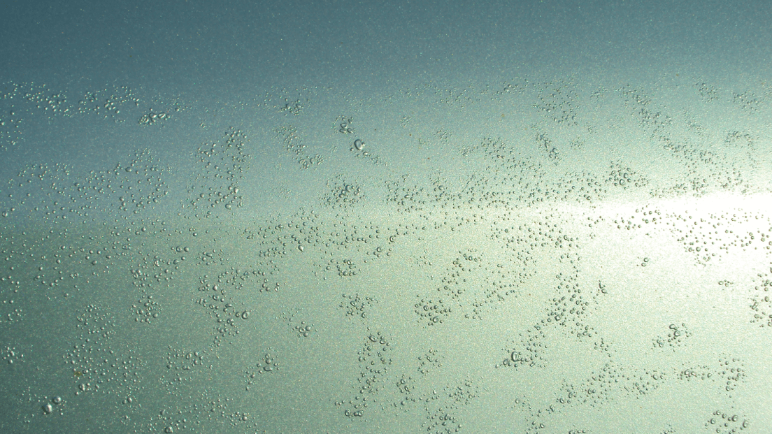 Paint Defect Search Tool