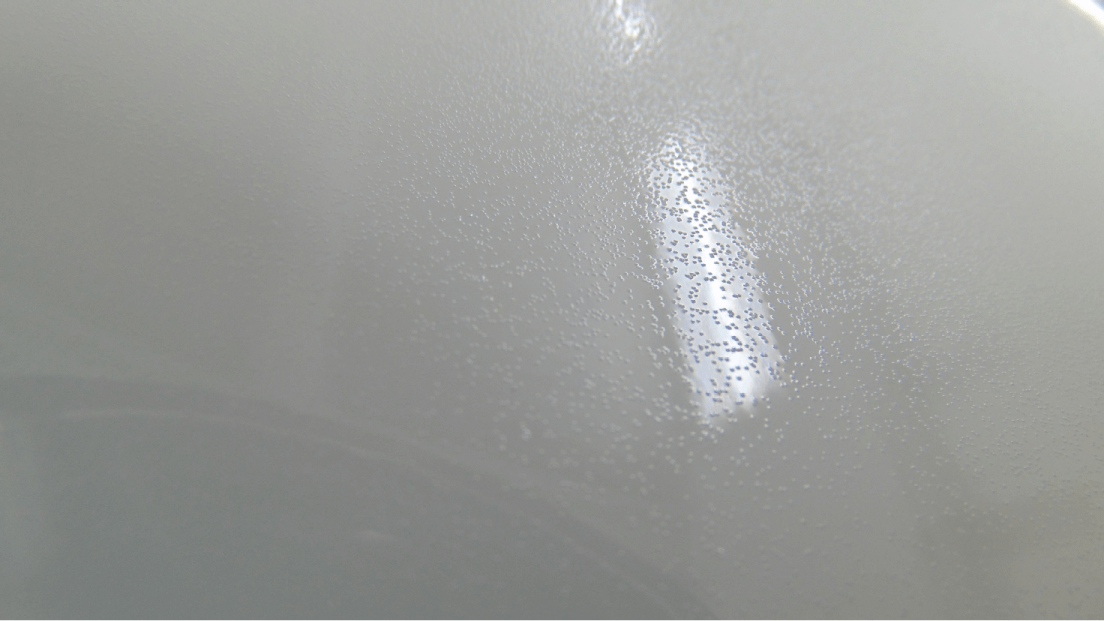 Paint Defect Search Tool