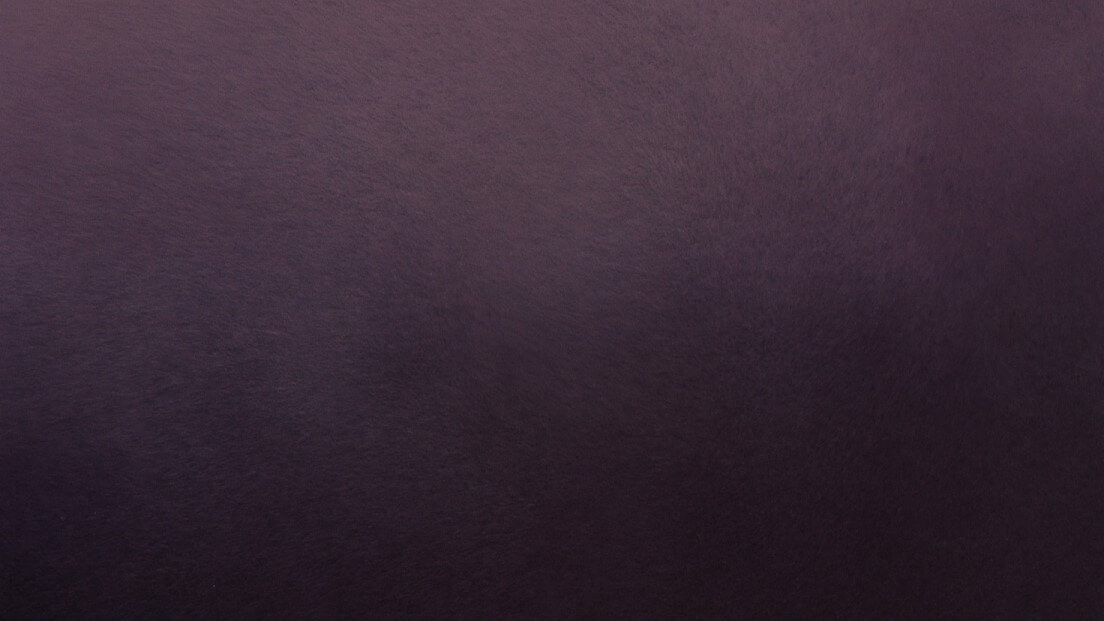 Paint Defect Search Tool