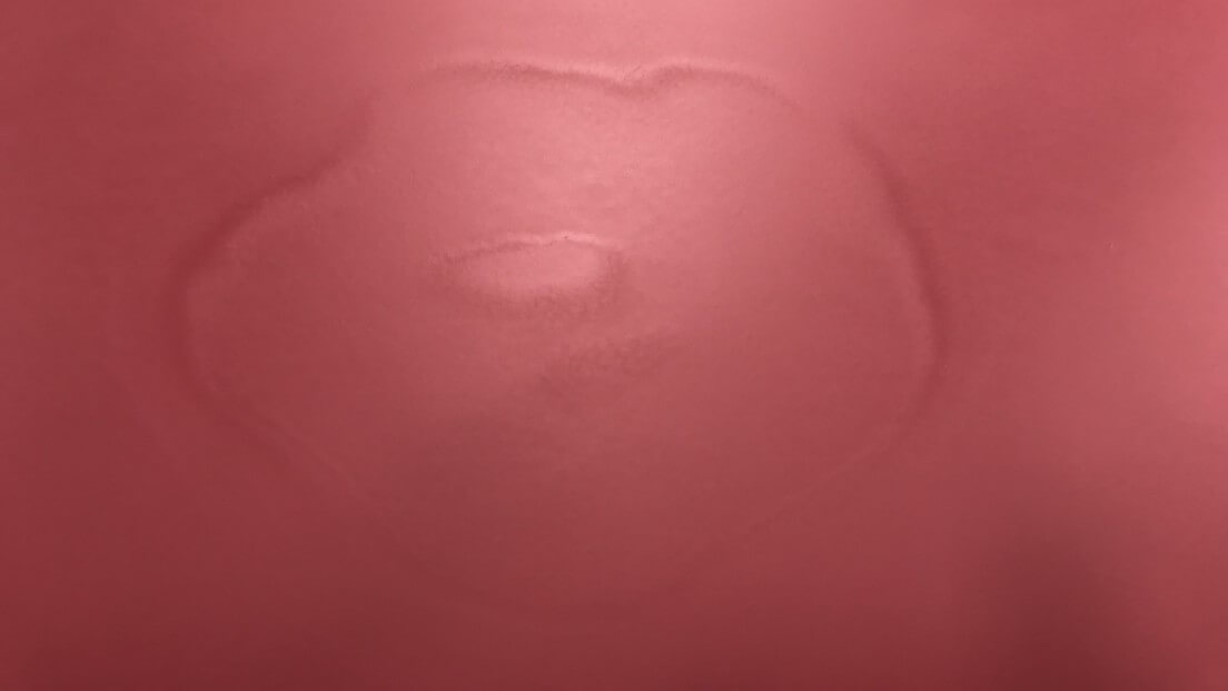 Paint Defect Search Tool