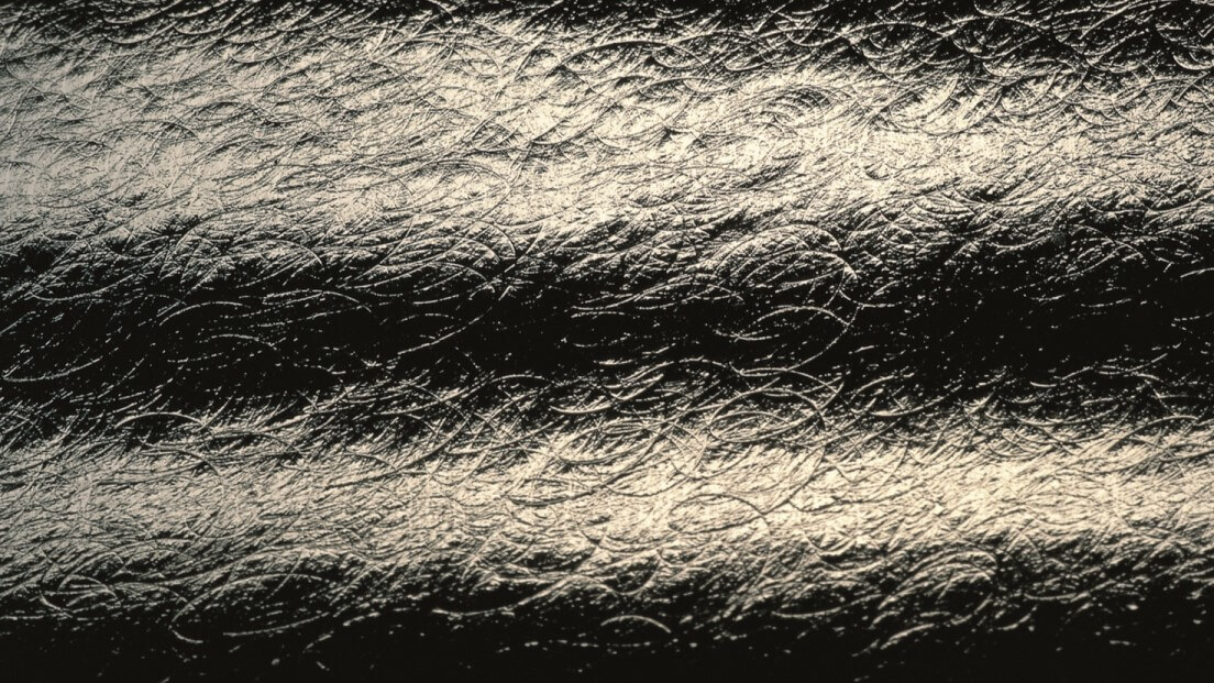 Paint Defect Search Tool